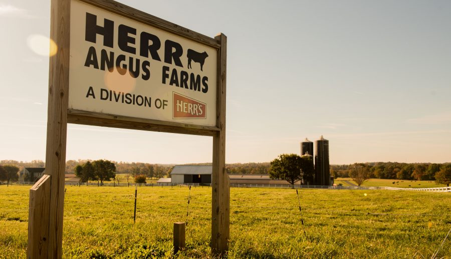 Snacks and Sustainability | American Farm Bureau Foundation for Agriculture