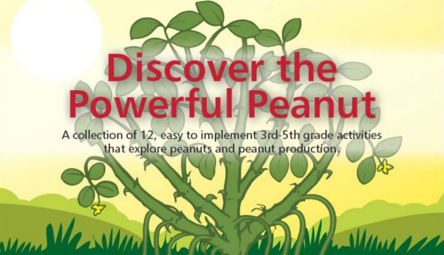 Free Lesson Plans! Peanut Activity Cards Promote Math, Social Science ...