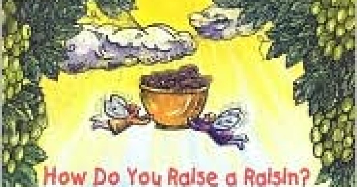 How Do You Raise a Raisin? | American Farm Bureau Foundation for ...