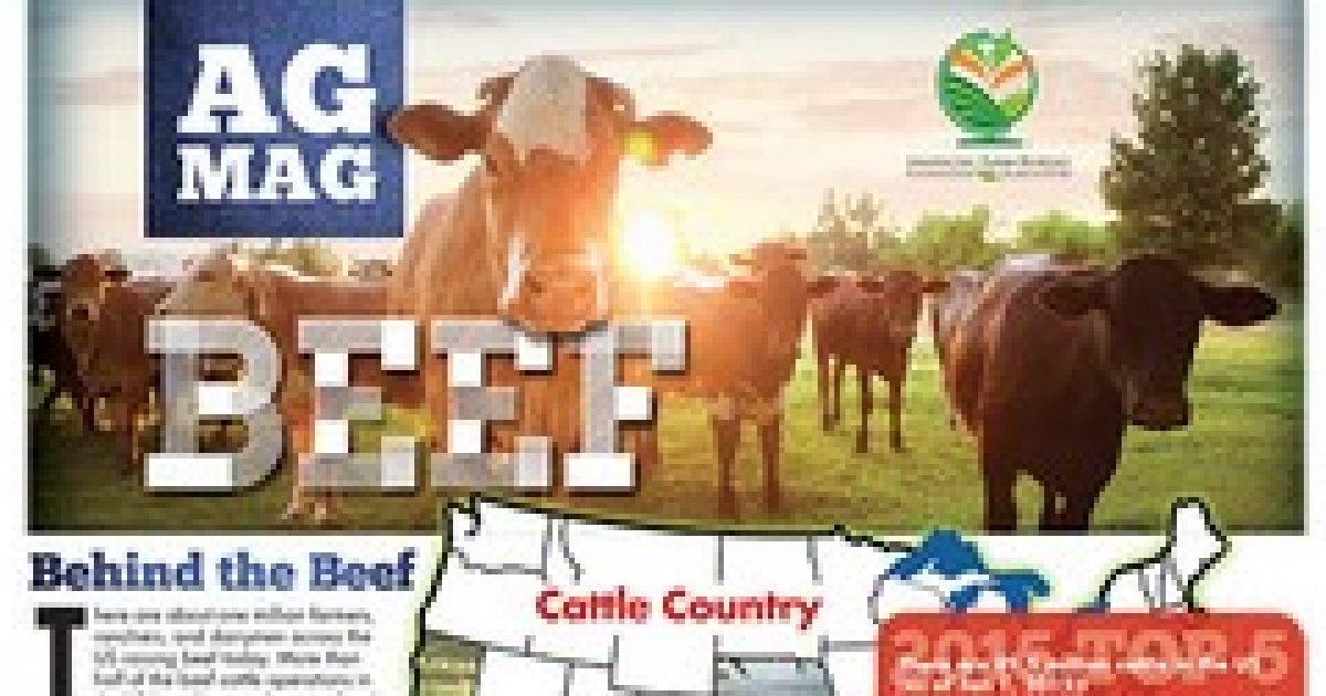 Beef Ag Mag | American Farm Bureau Foundation for Agriculture