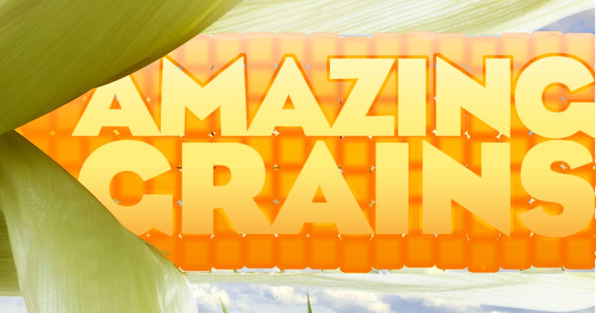 Amazing Grains | American Farm Bureau Foundation for Agriculture