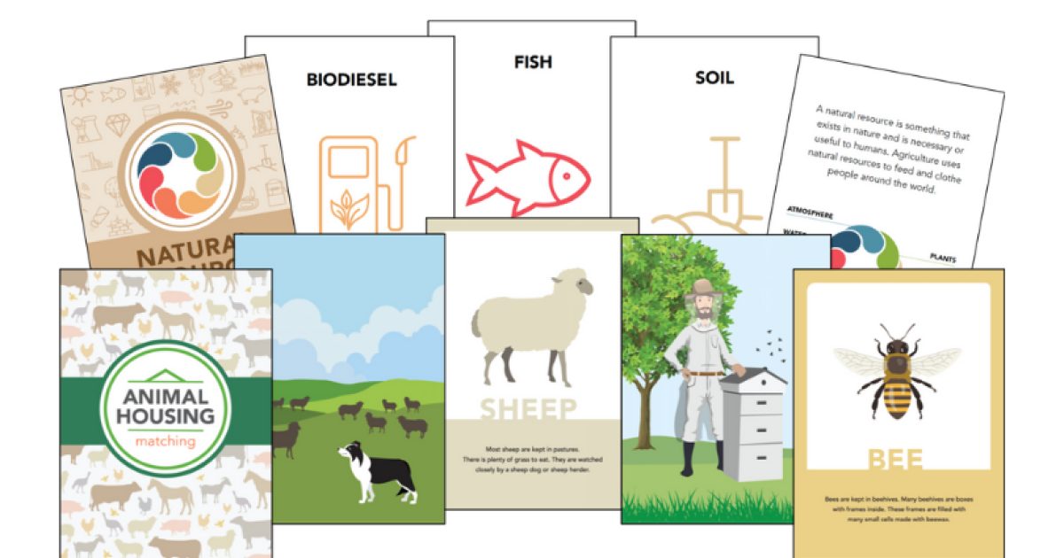 Two New Ag Card Games! | American Farm Bureau Foundation for Agriculture