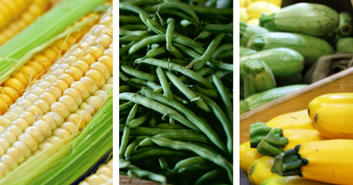 The Three Sisters | American Farm Bureau Foundation for Agriculture