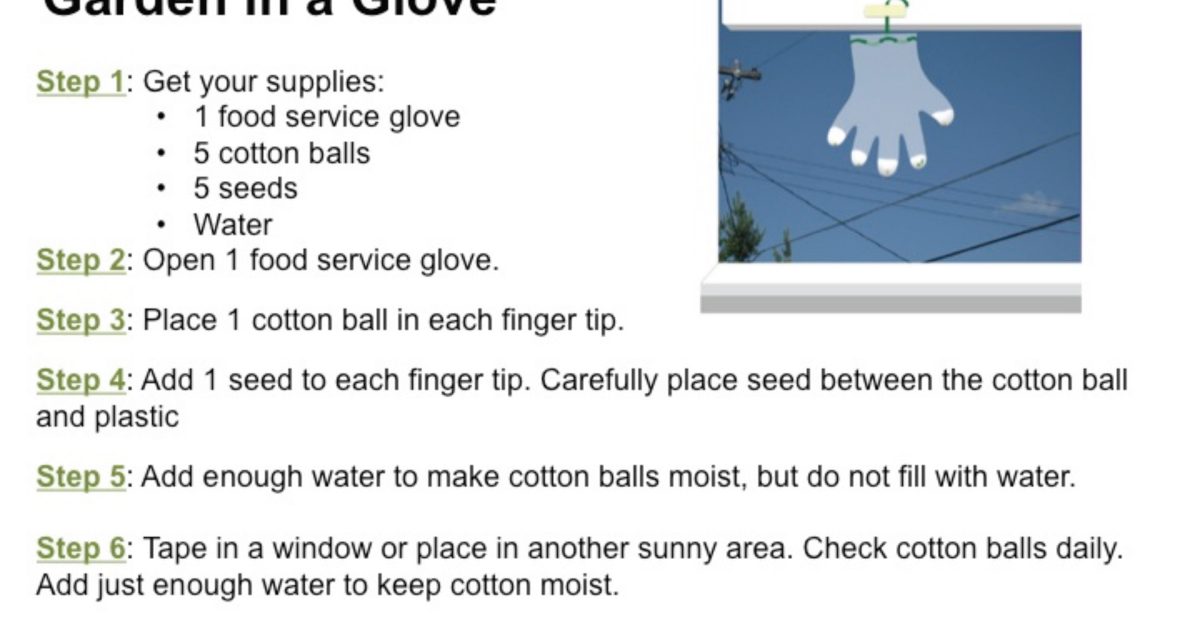 Garden in a Glove | Directions Card | American Farm Bureau Foundation ...
