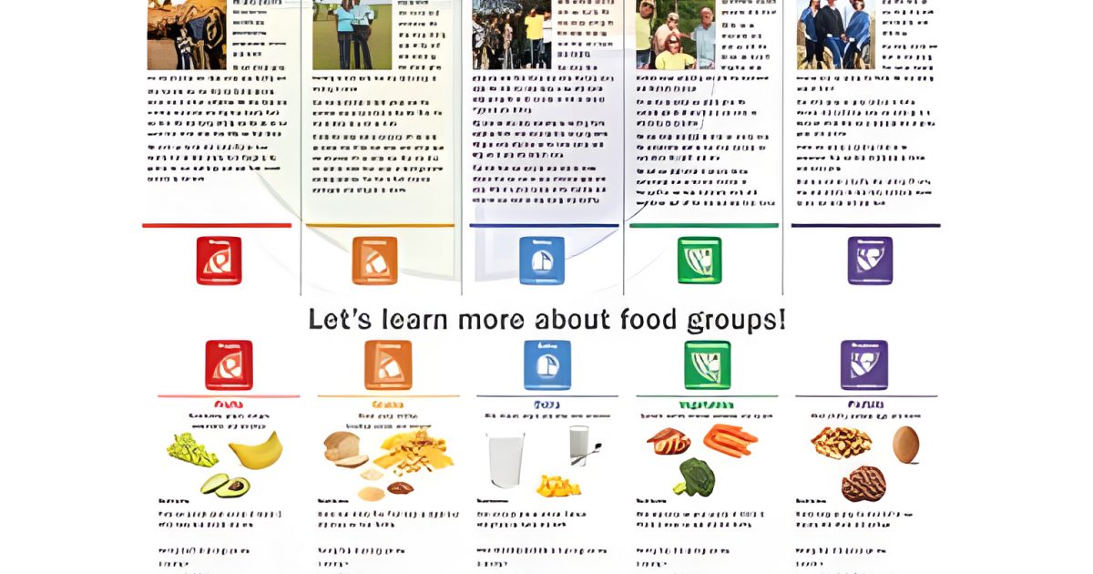 How Did That Get In My Lunchbox? Companion Poster - My Food Connection ...