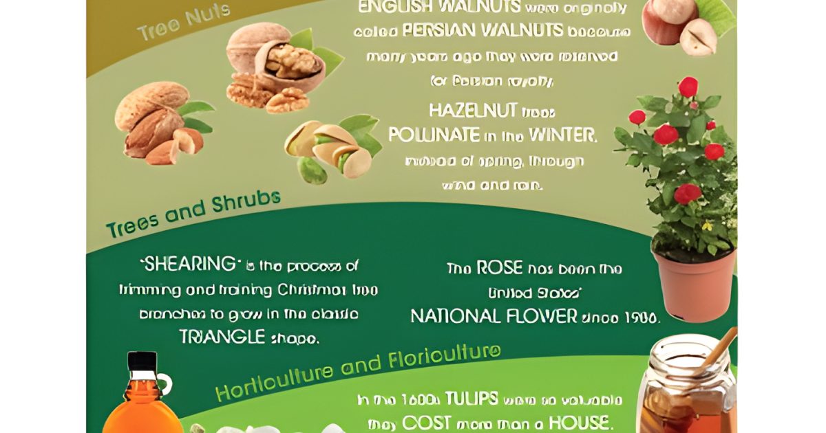 Commodities Banner