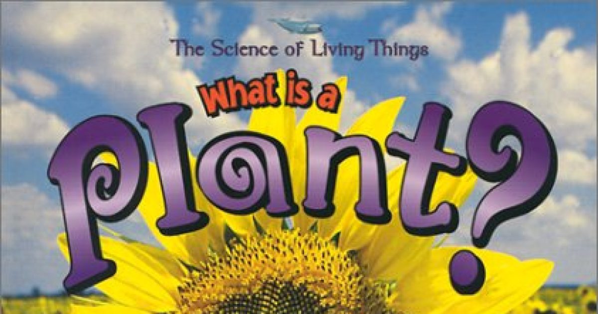What Is a Plant? | American Farm Bureau Foundation for Agriculture
